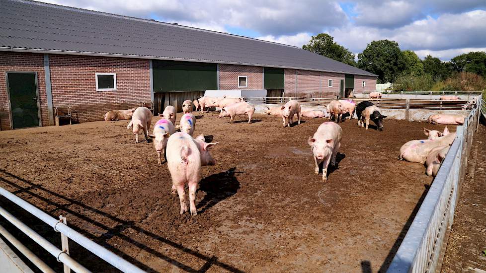 Provincie wil biologische landbouw in Limburg stimuleren | Stal-en ... Provincie wil biologische landbouw in Limburg stimuleren | Stal-en ...