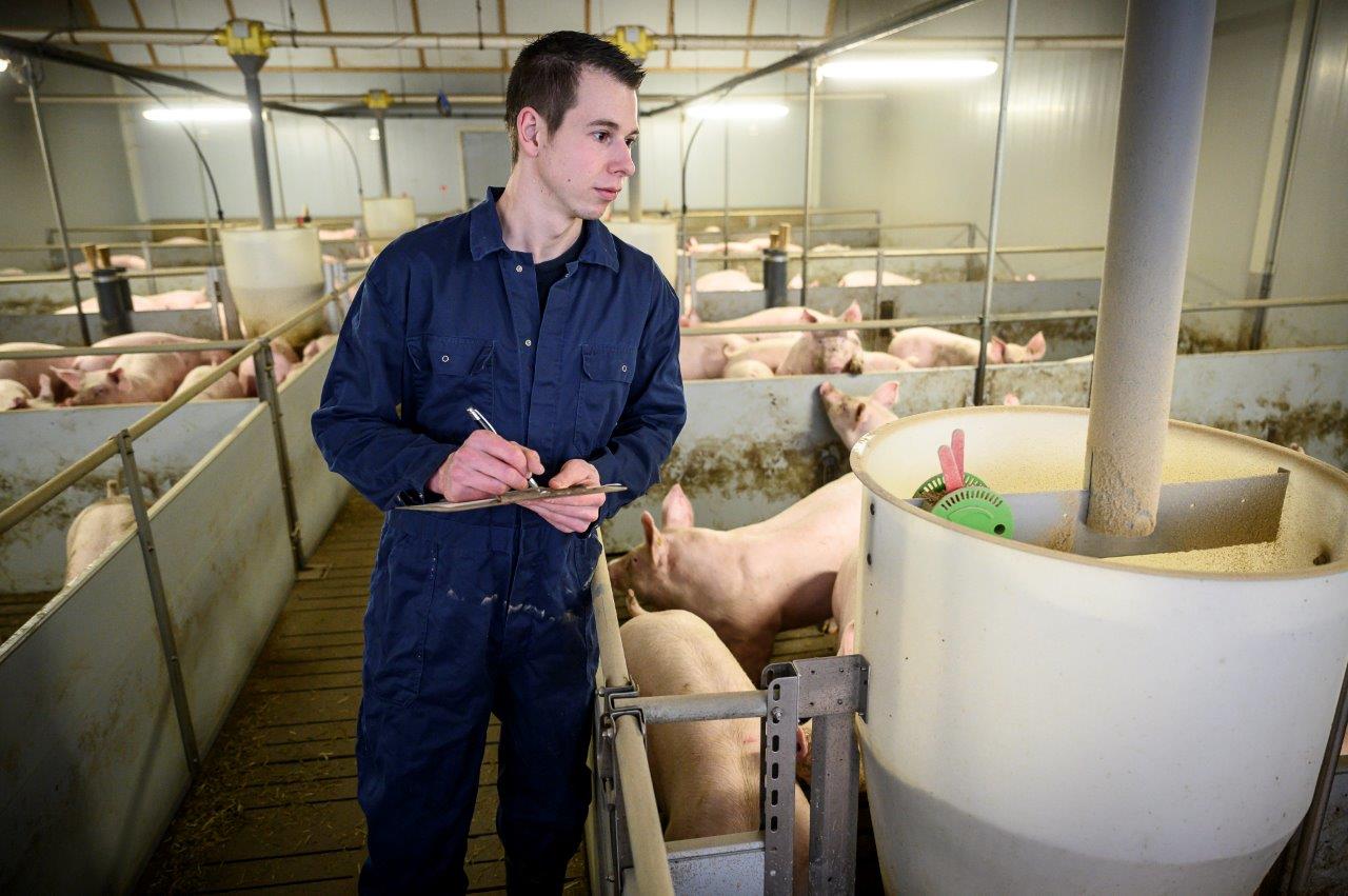 Fotoserie: Koen van Eijk: 'Door finetunen ouderlijk bedrijf klaar maken voor toekomst' | Stal-en ...