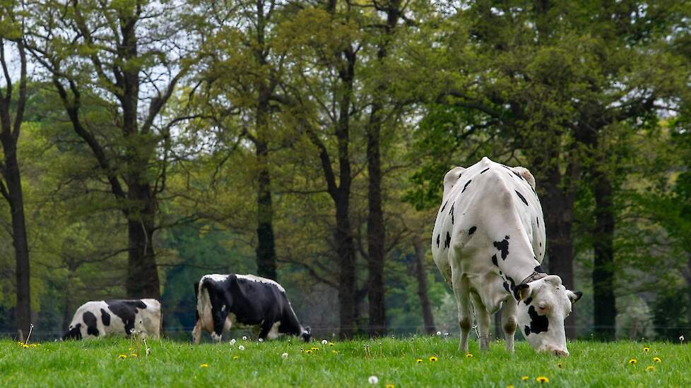 RIVM: Zonering van 250 meter raakt 1.853 boerenbedrijven | Stal-en ...