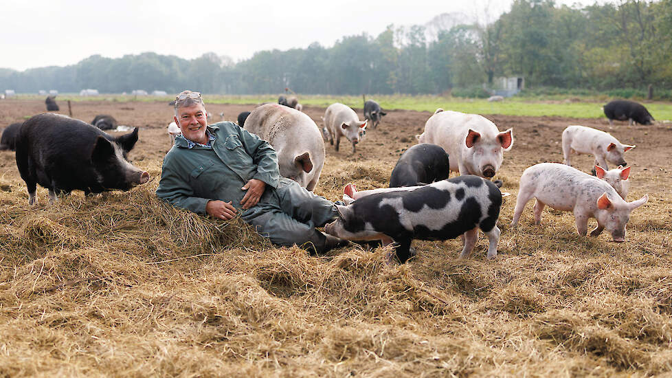 Opschaling varkenstoilet Scheepens: subsidie, doorzettingsvermogen en ...